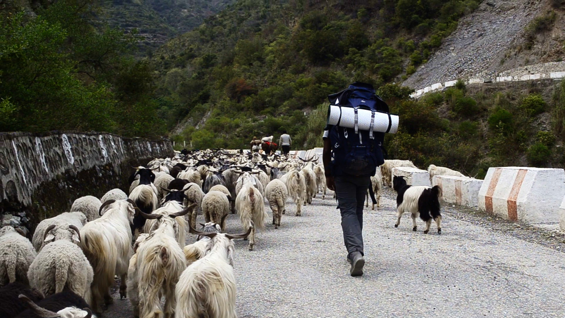 World Trails Film Festival Moving Upstream: Ganga - World Trails Film ...